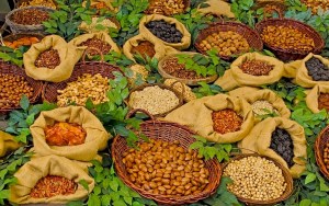 Farming in Ancient Rome – novelromealone